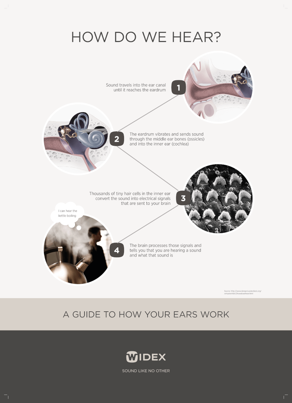 Infographics access - Free hearing posters and infographics | Widex Pro