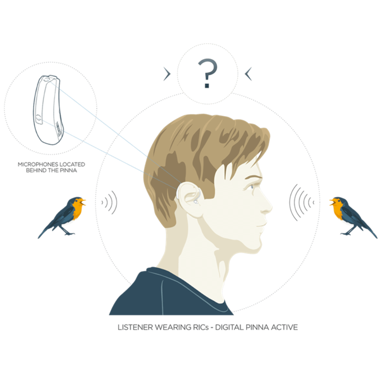 Directional microphones in hearing aids | Widex Pro