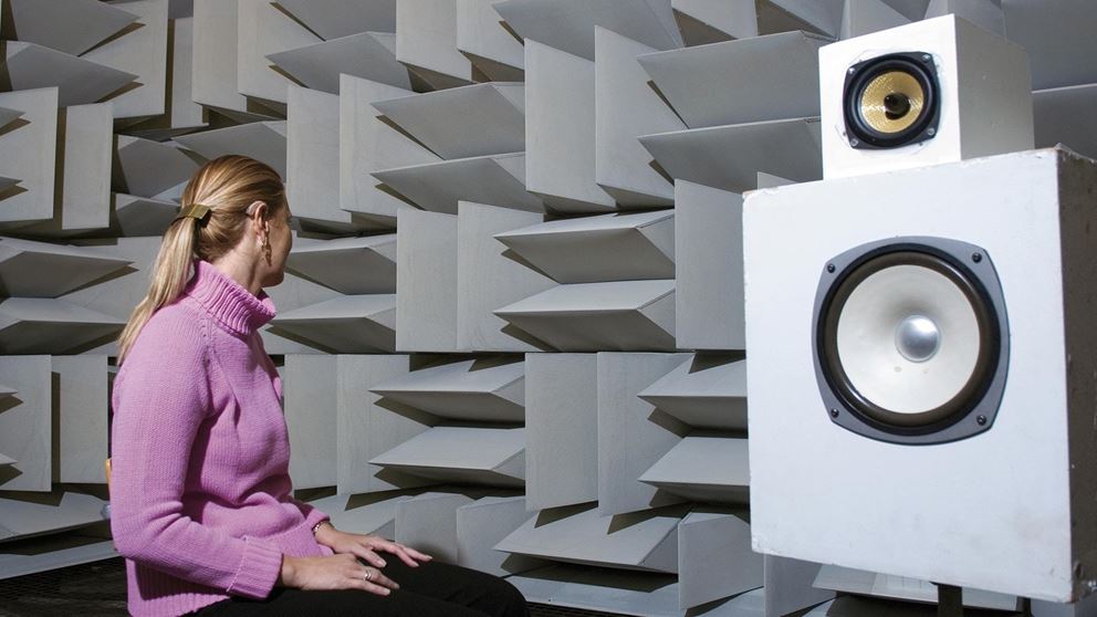 Widex TruAcoustics™ | Widex Pro