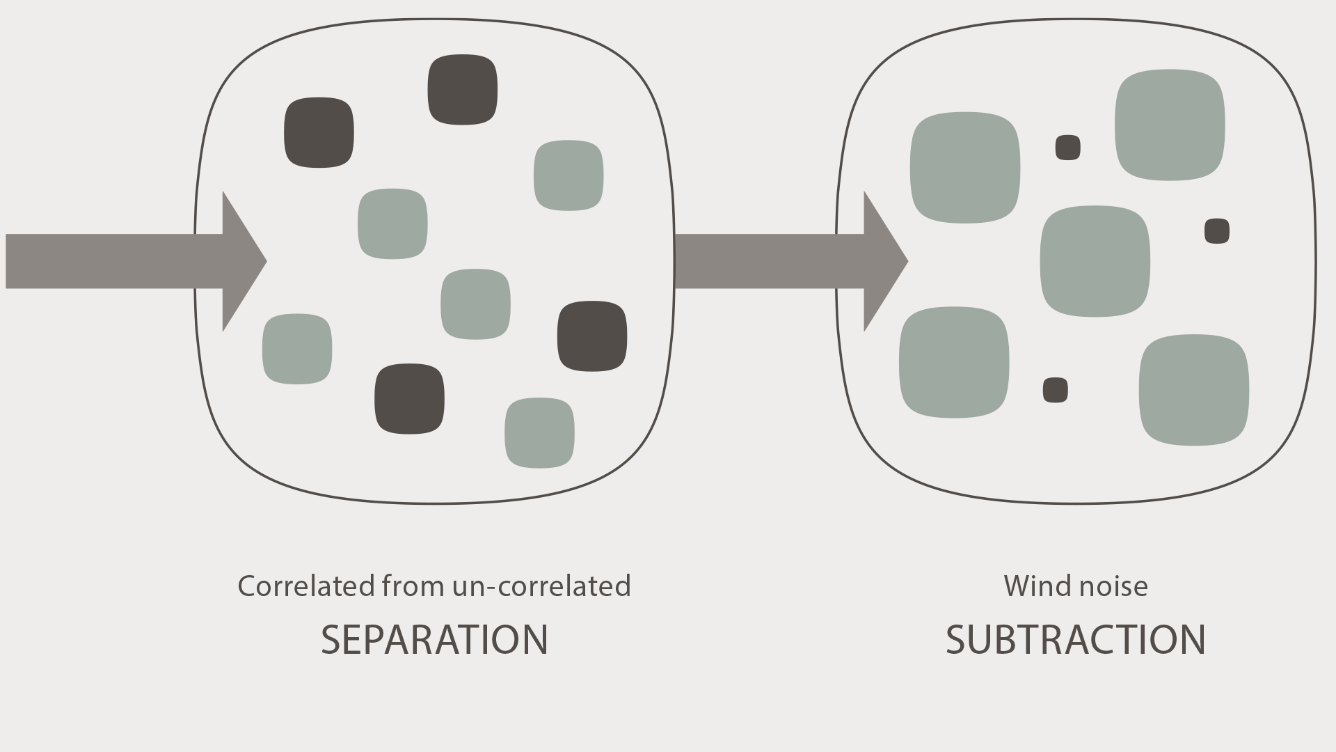 Focus on what matters - Principle of Widex Sound Philosophy | Widex Pro